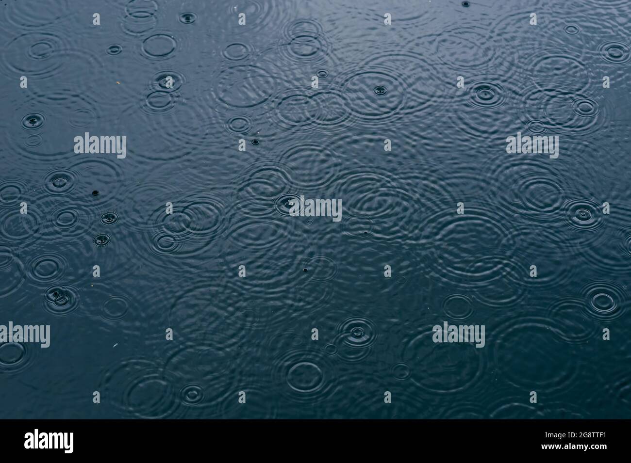 rain drops on the surface of water in a puddle with graduated shade of ...