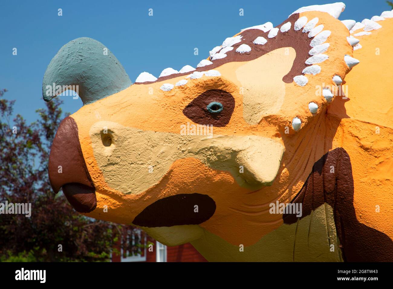 Einiosaurus model, Two Medicine Dinosaur Center, Bynum, Montana Stock ...