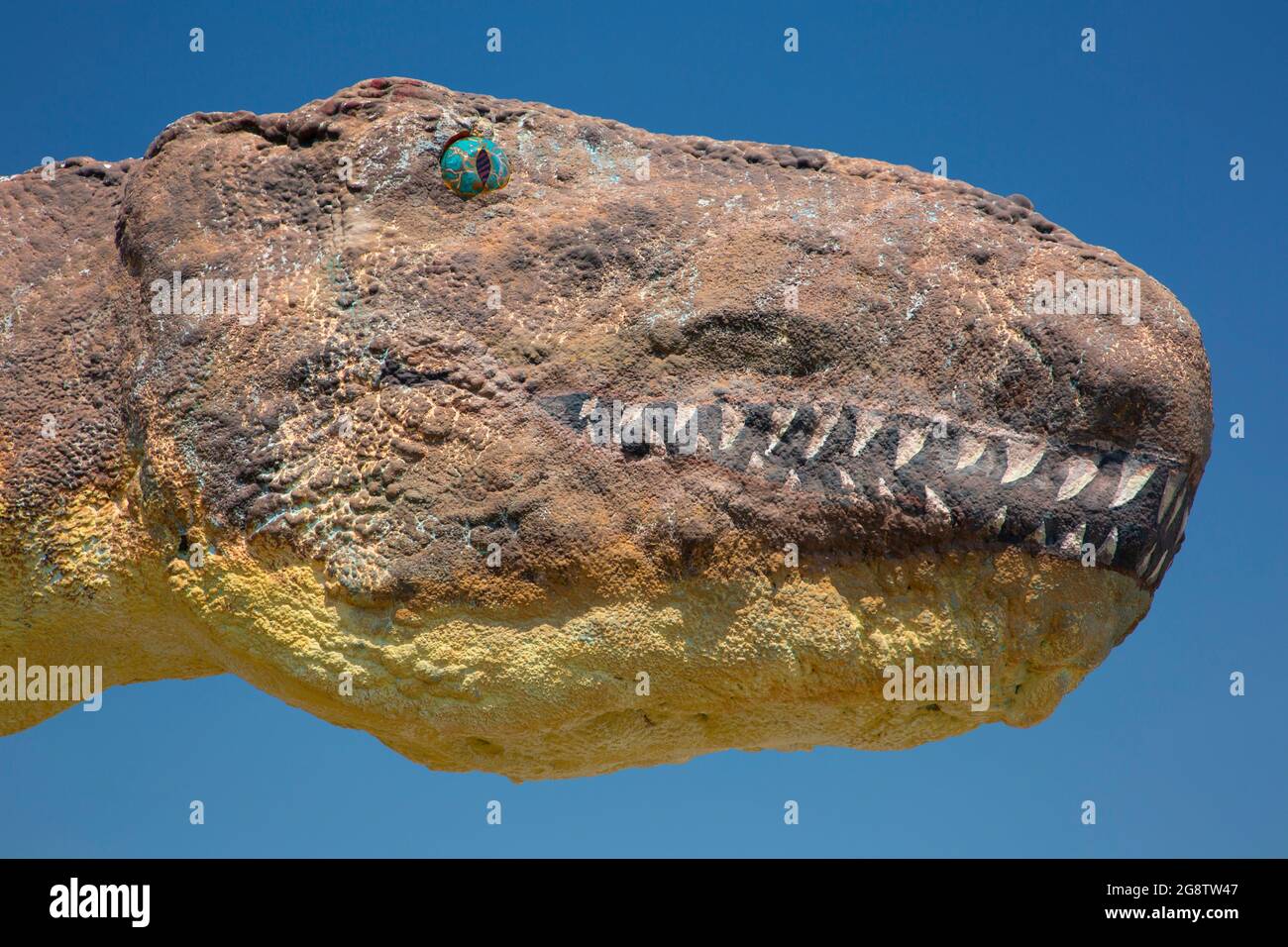 T-rex model, Two Medicine Dinosaur Center, Bynum, Montana Stock Photo ...