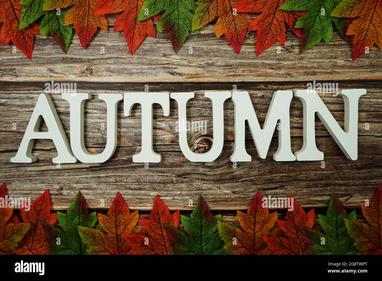 Autumn alphabet letter with maple leaves on wooden background Stock ...