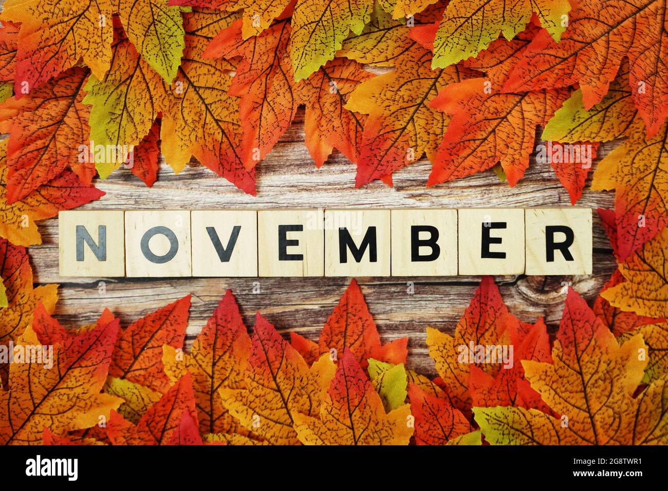 November alphabet letter with maple leaves frame on wooden background ...