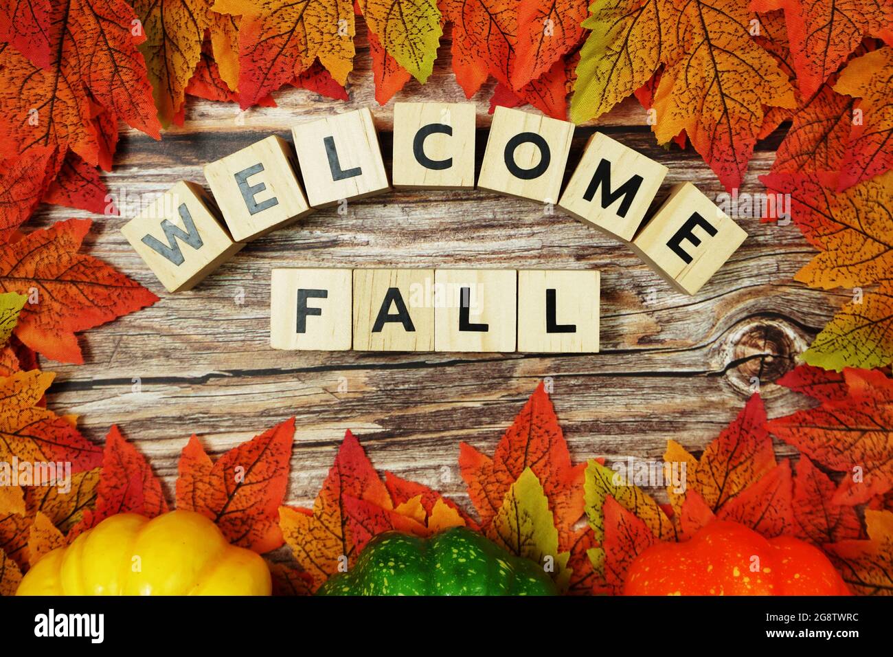 Welcome Fall alphabet letter with maple leaves frame on wooden ...