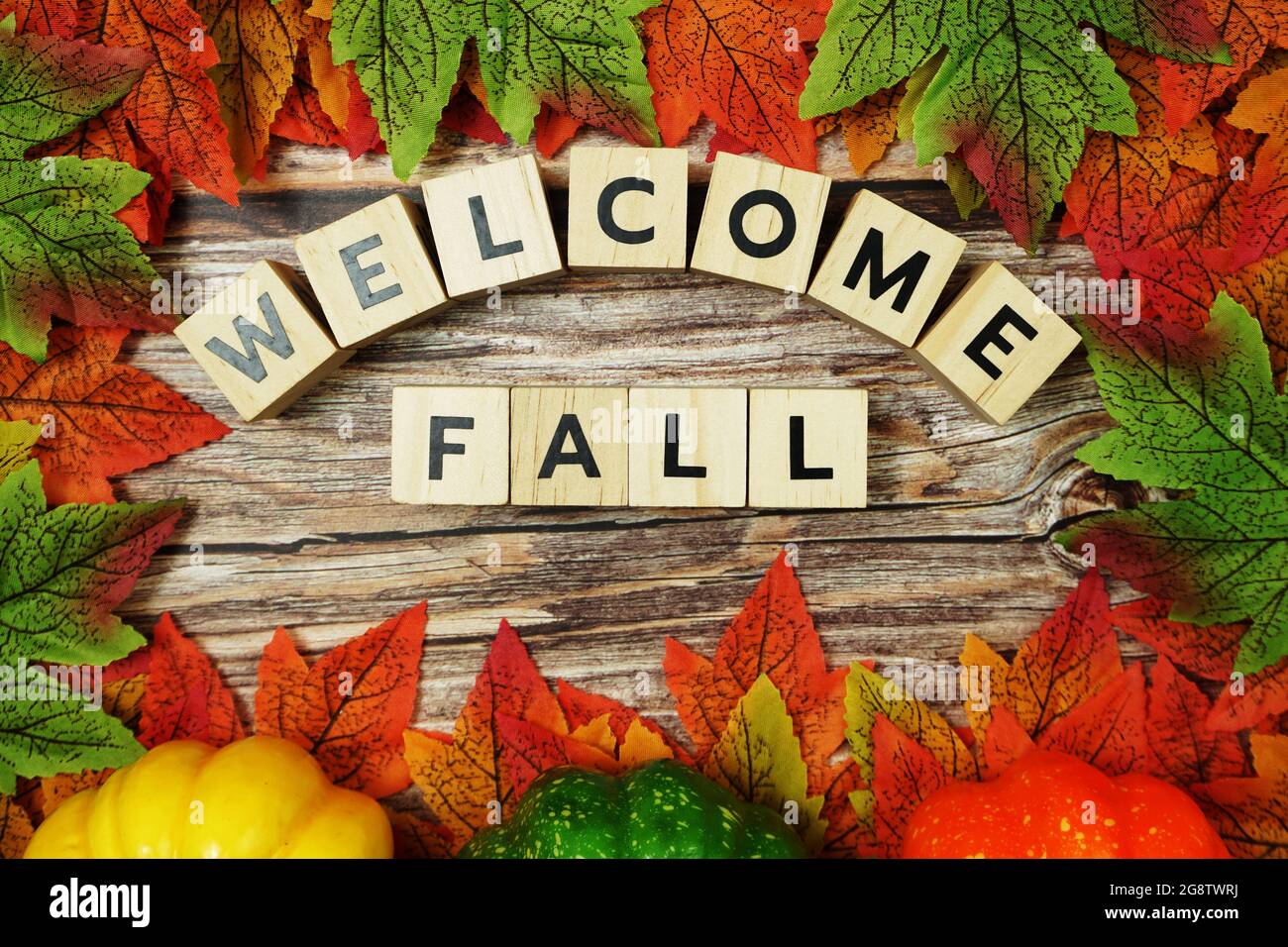 Welcome Fall alphabet letter with maple leaves frame on wooden ...
