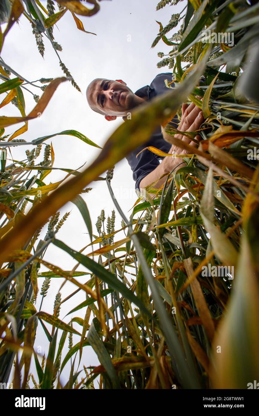 Helger hi-res stock photography and images - Alamy