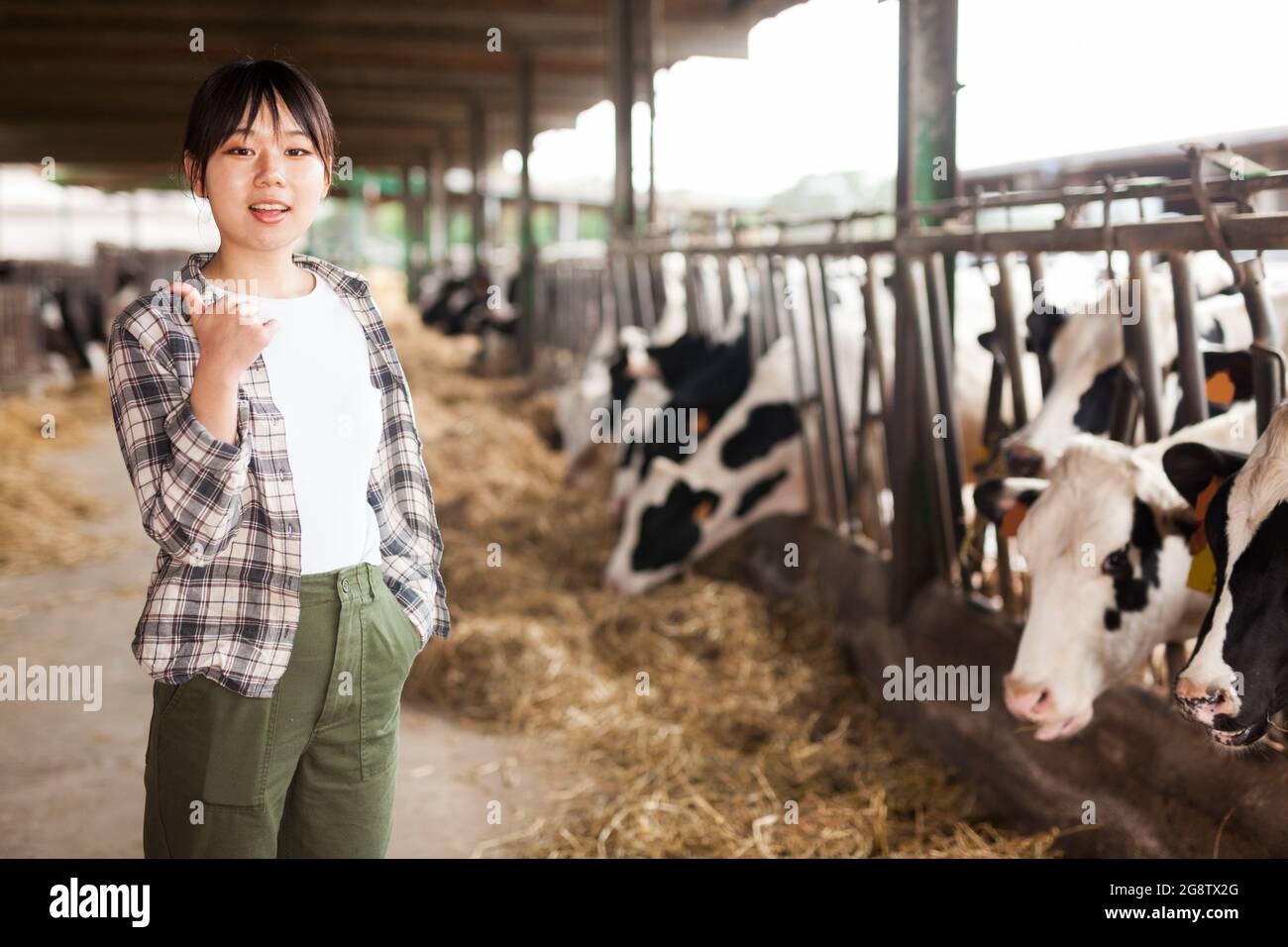 Chinese farm animals hi-res stock photography and images - Alamy