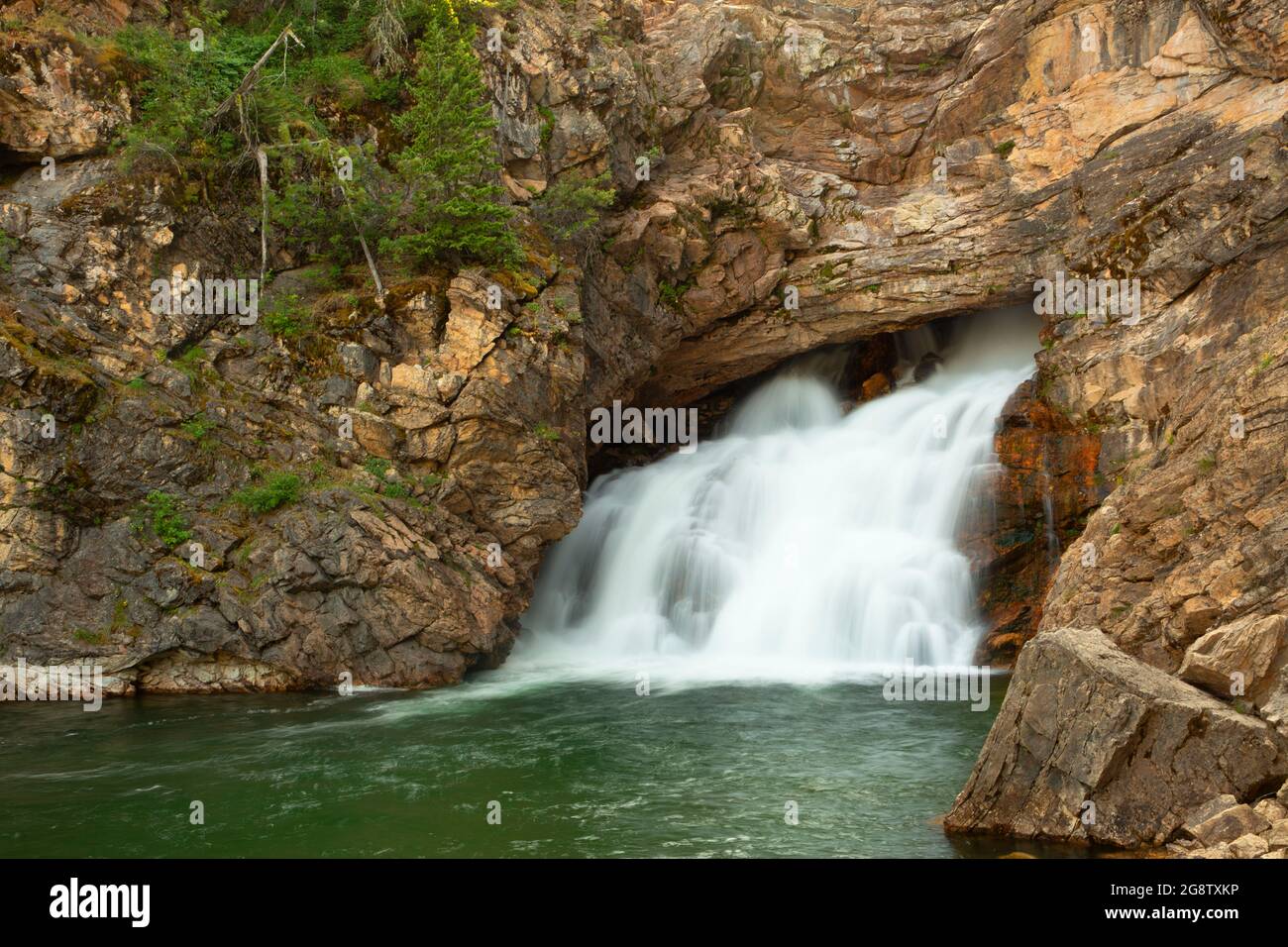 Running Eagle Falls, Glacier National Park, Montana Stock Photo - Alamy