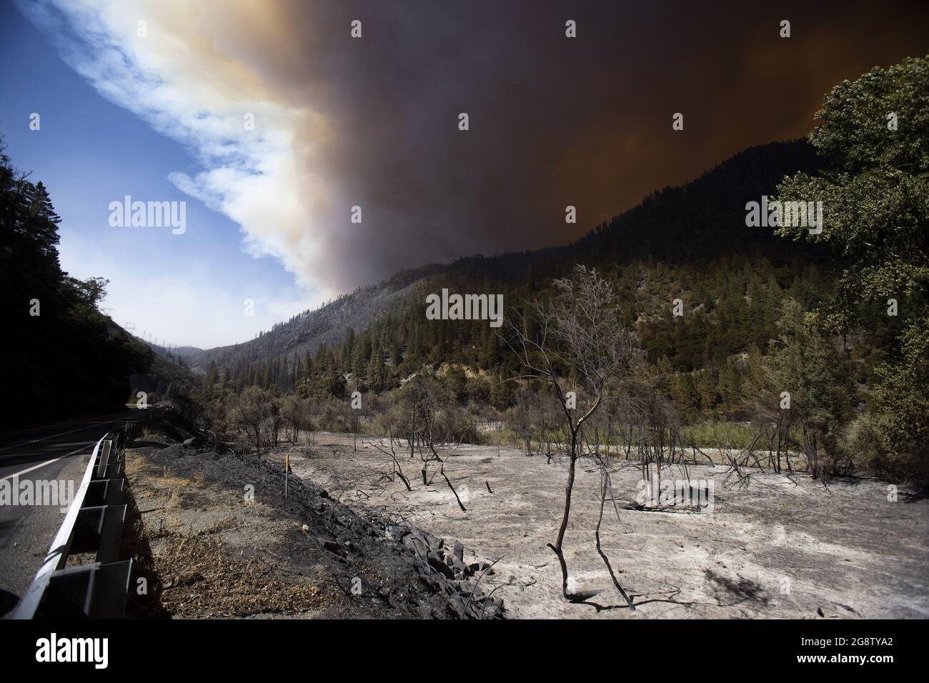 Plumas national forest hi-res stock photography and images - Alamy