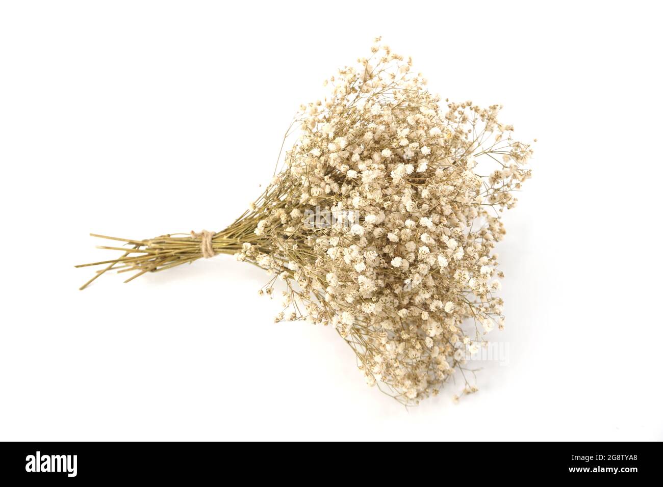 dried flower bouquet isolated on white background Stock Photo - Alamy