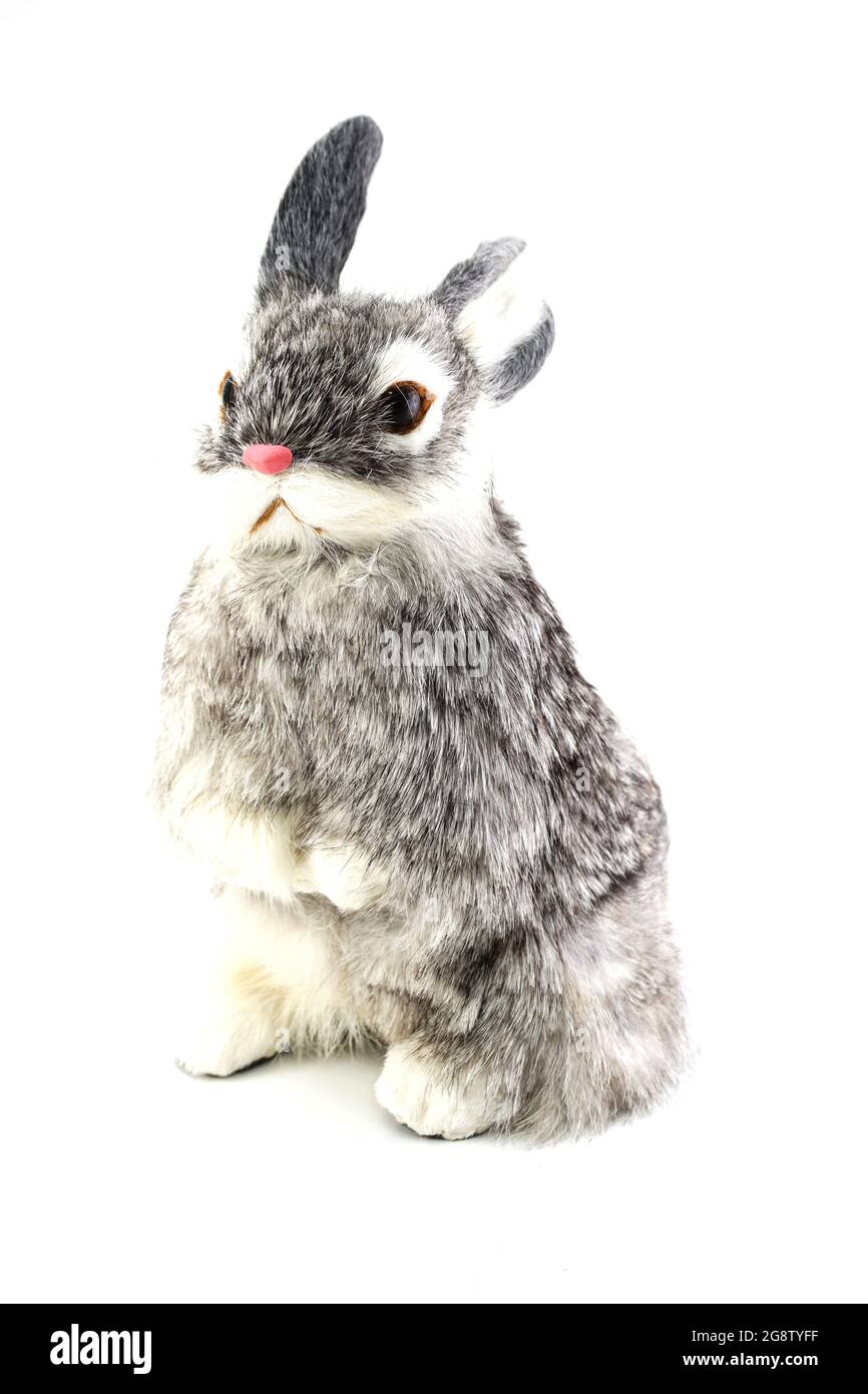 rabbit doll isolated on white background Stock Photo - Alamy