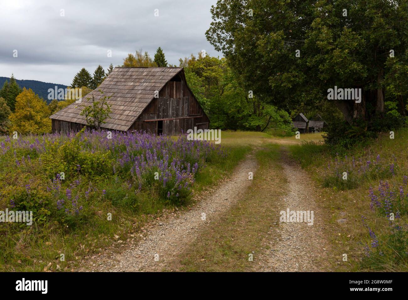 Sheep ranching hi-res stock photography and images - Alamy