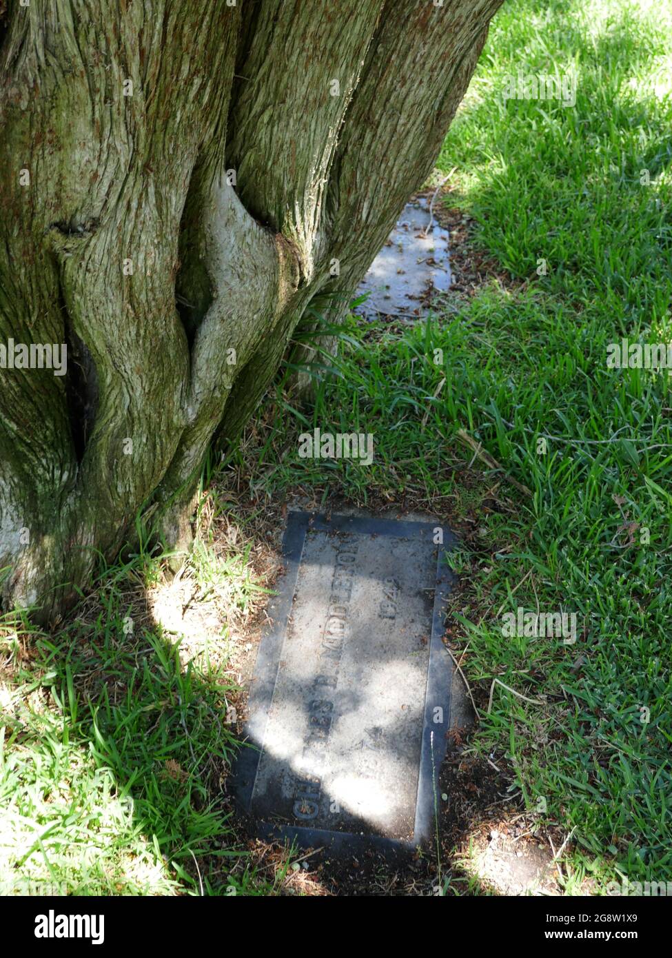 Los Angeles, California, USA 20th July 2021 A general view of ...