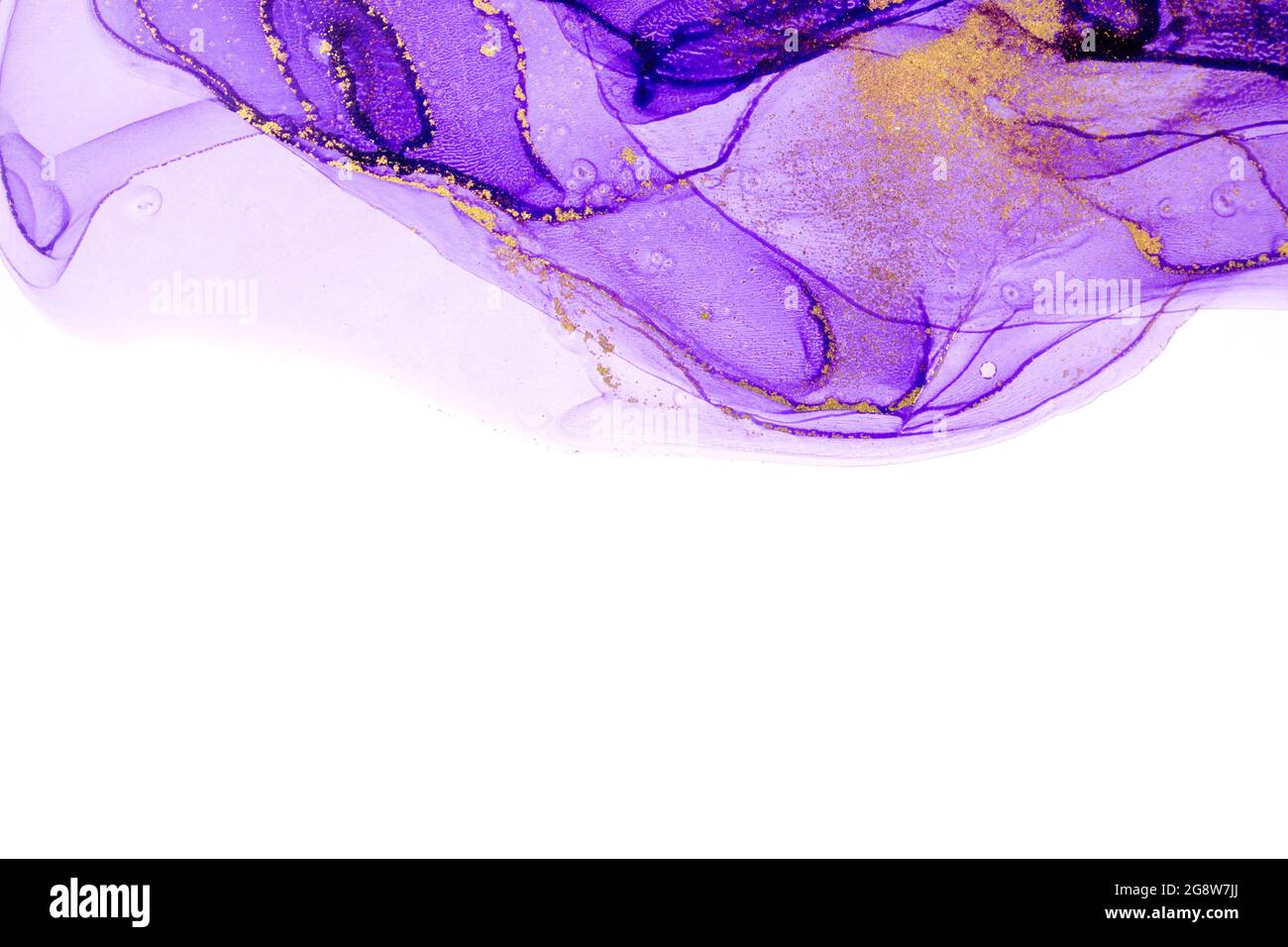Abstract purple stains on white background. Violet and gold watercolor ...