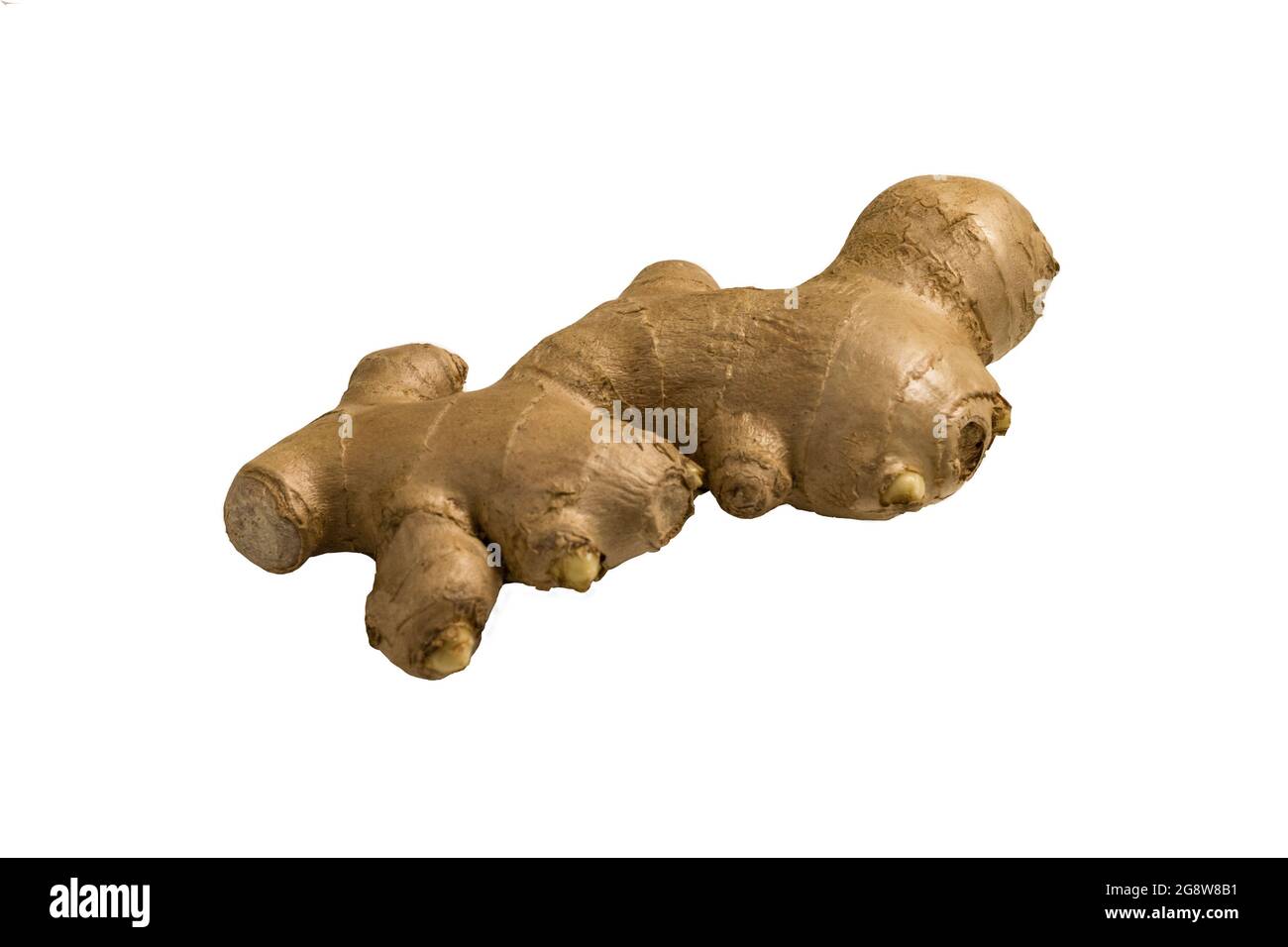 one ginger isolated on white background Stock Photo - Alamy