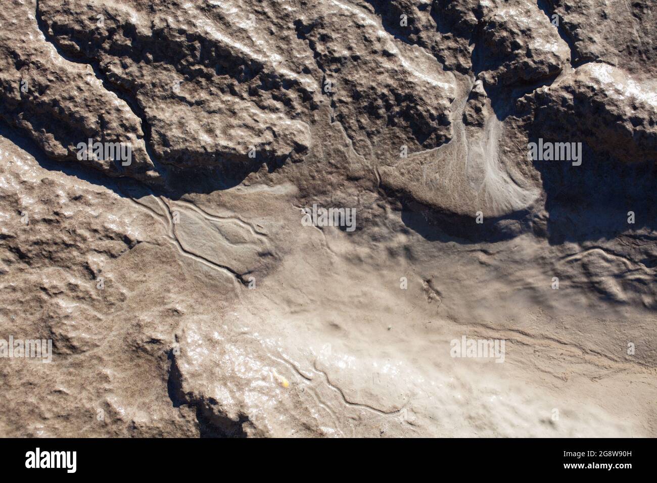 Micro-scale geographical features in silt after a river flood. The ...