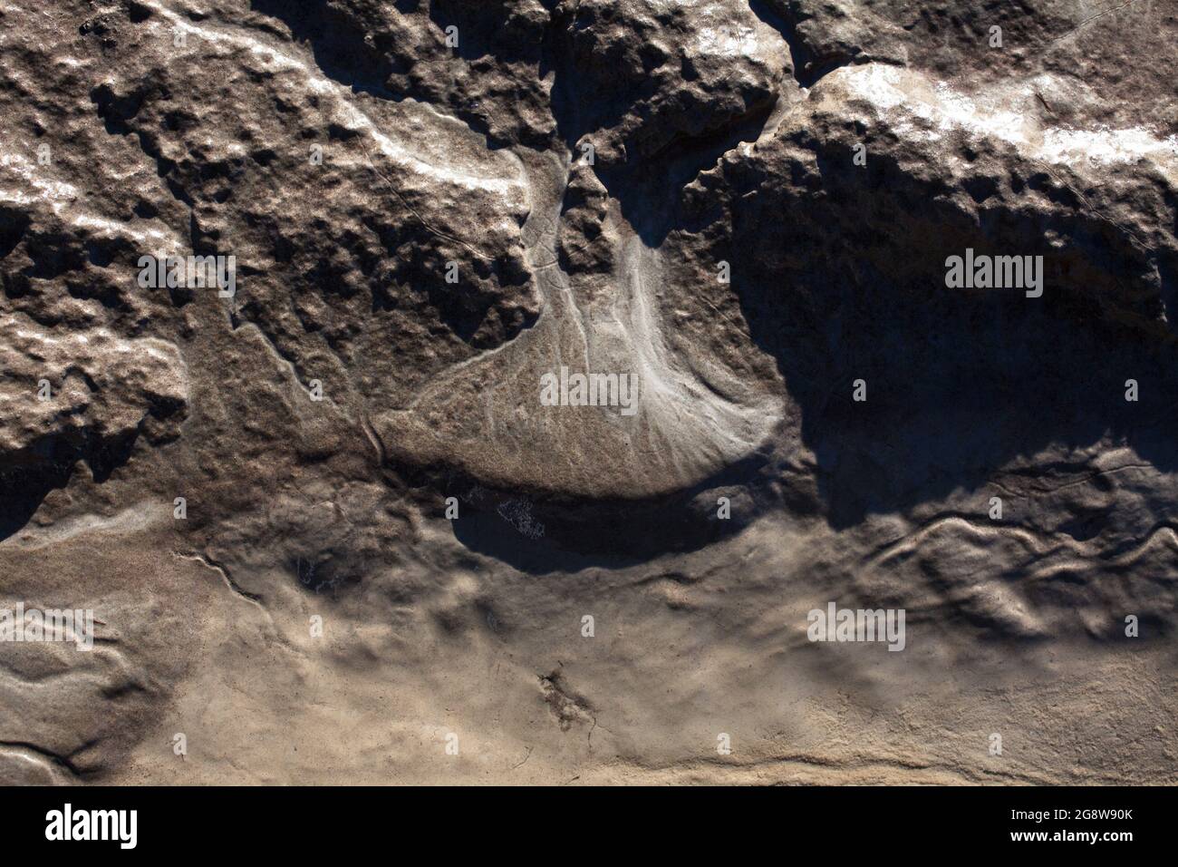 Micro-scale geographical features in silt after a river flood. The ...