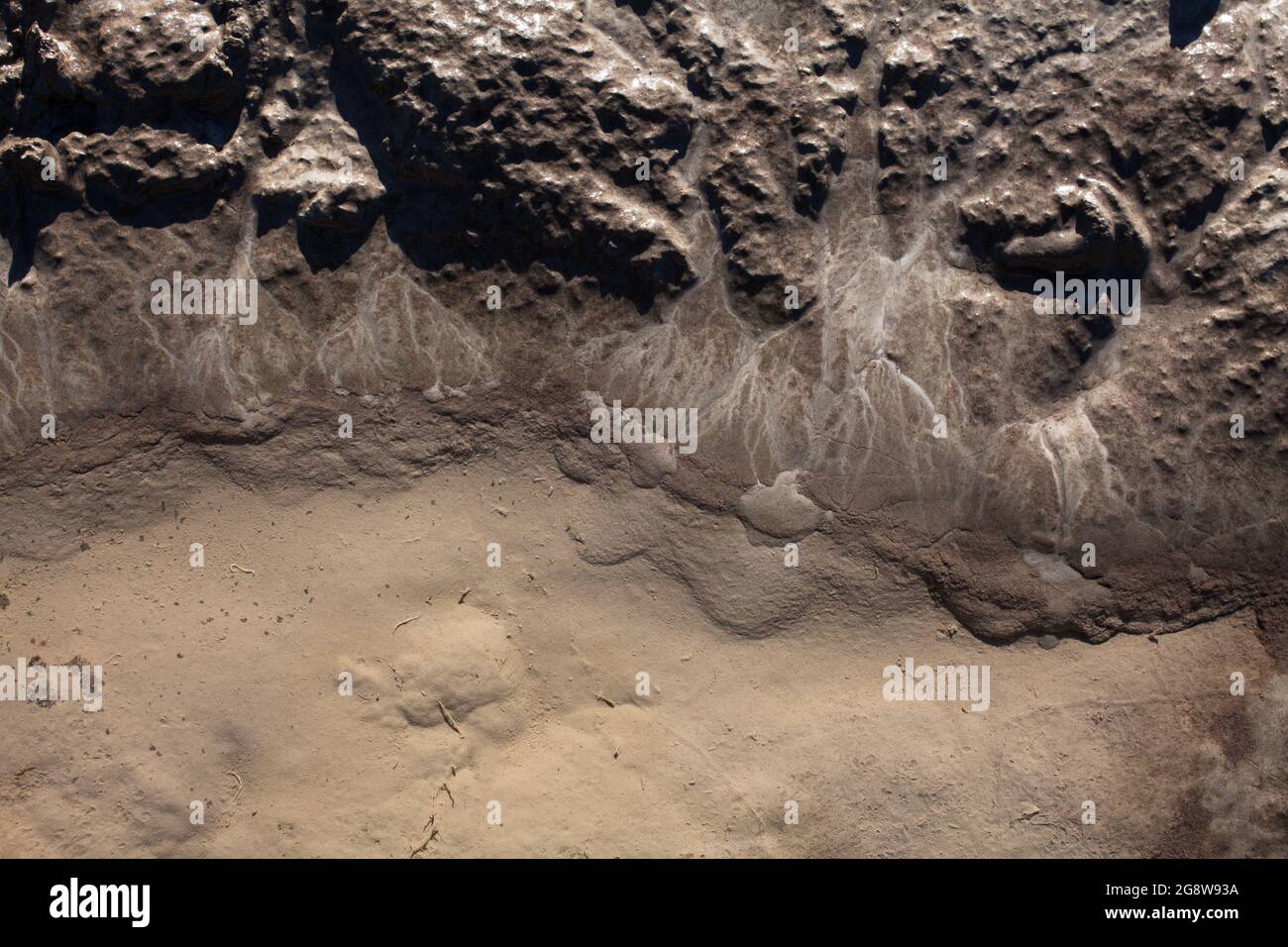 Micro-scale geographical features in silt after a river flood. The ...