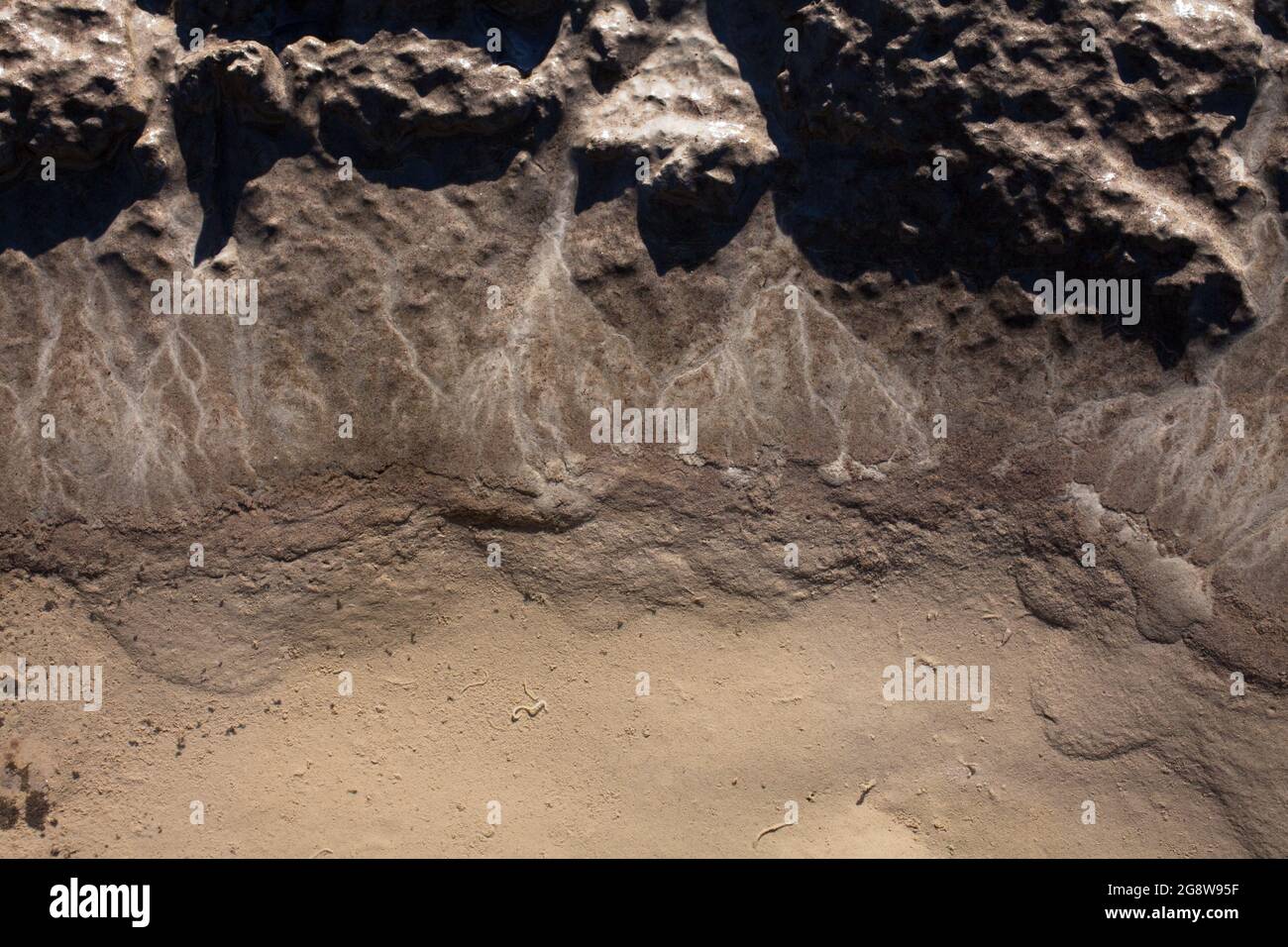 Micro-scale geographical features in silt after a river flood. The ...