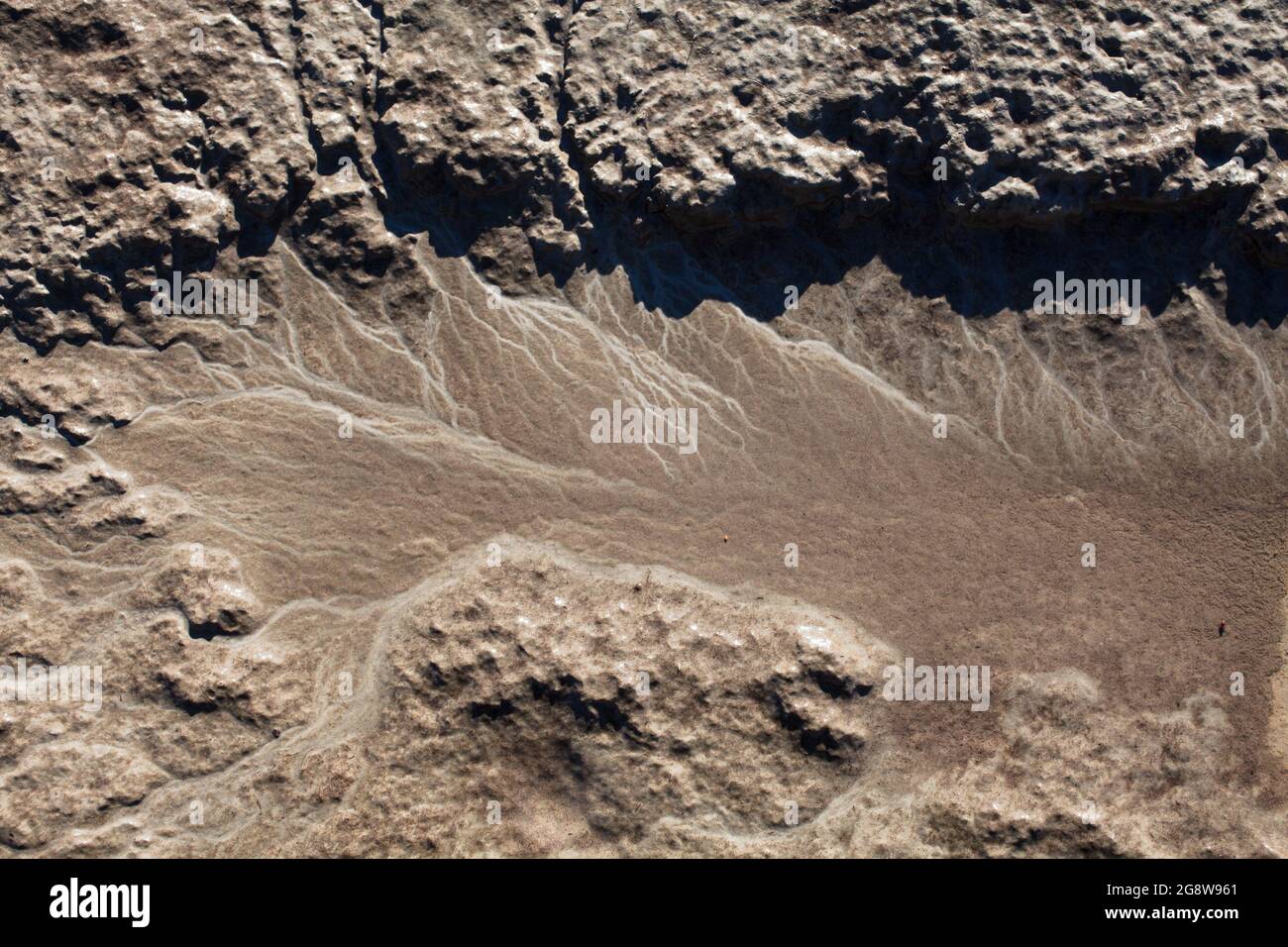 Micro-scale geographical features in silt after a river flood. The ...