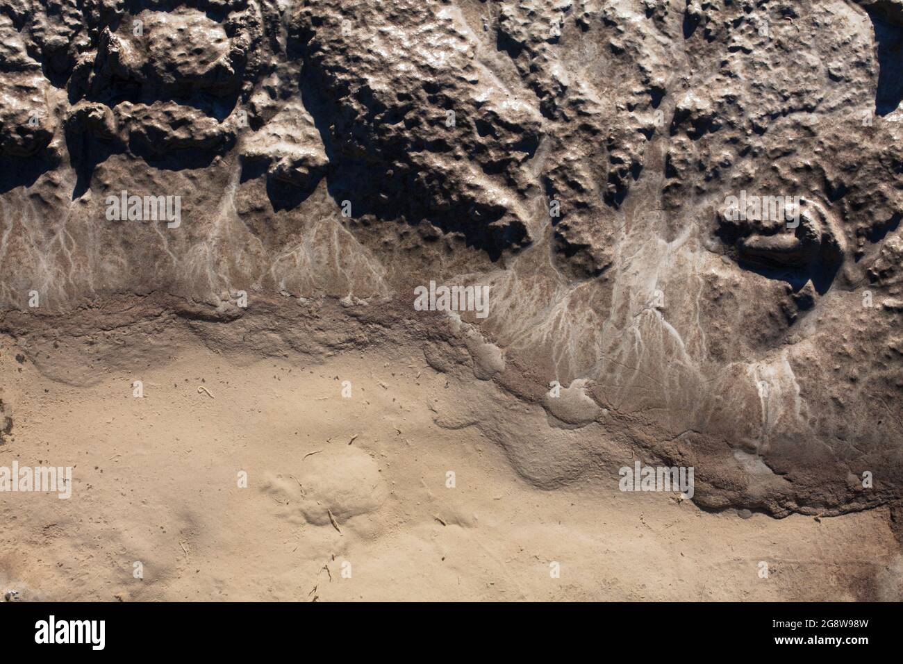 Micro-scale geographical features in silt after a river flood. The ...