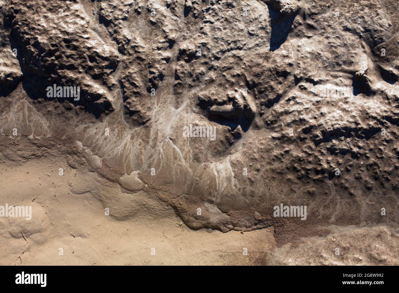 Micro-scale geographical features in silt after a river flood. The ...
