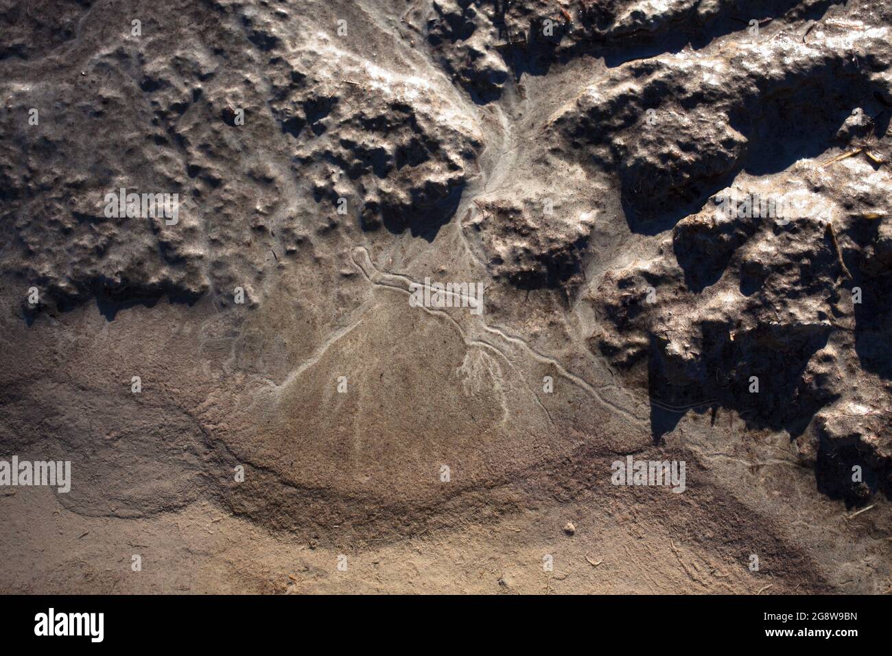 Micro-scale geographical features in silt after a river flood. The ...