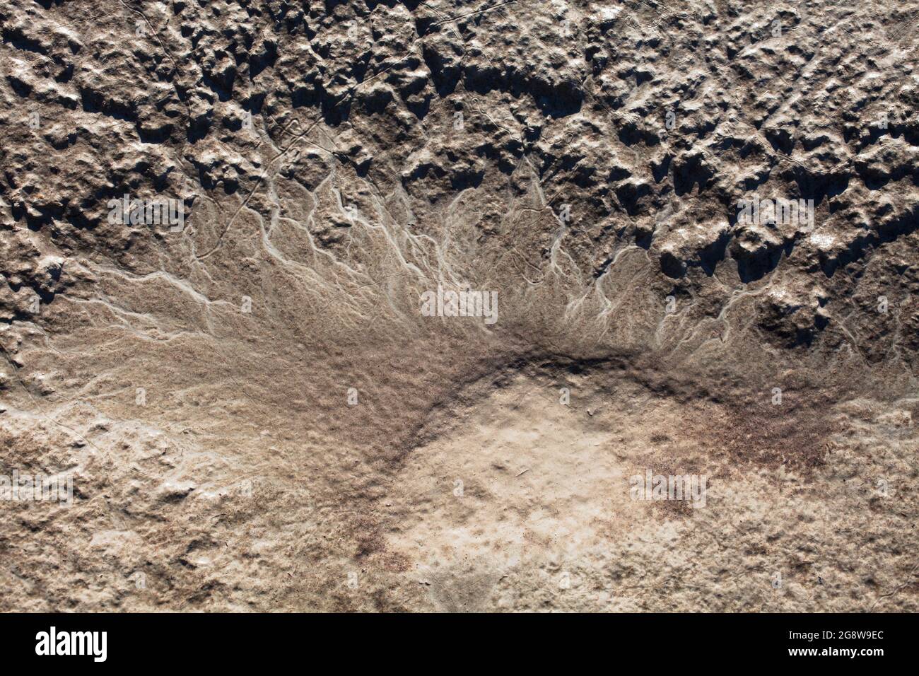 Micro-scale geographical features in silt after a river flood. The ...