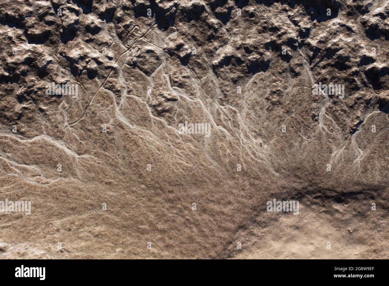 Micro-scale geographical features in silt after a river flood. The ...