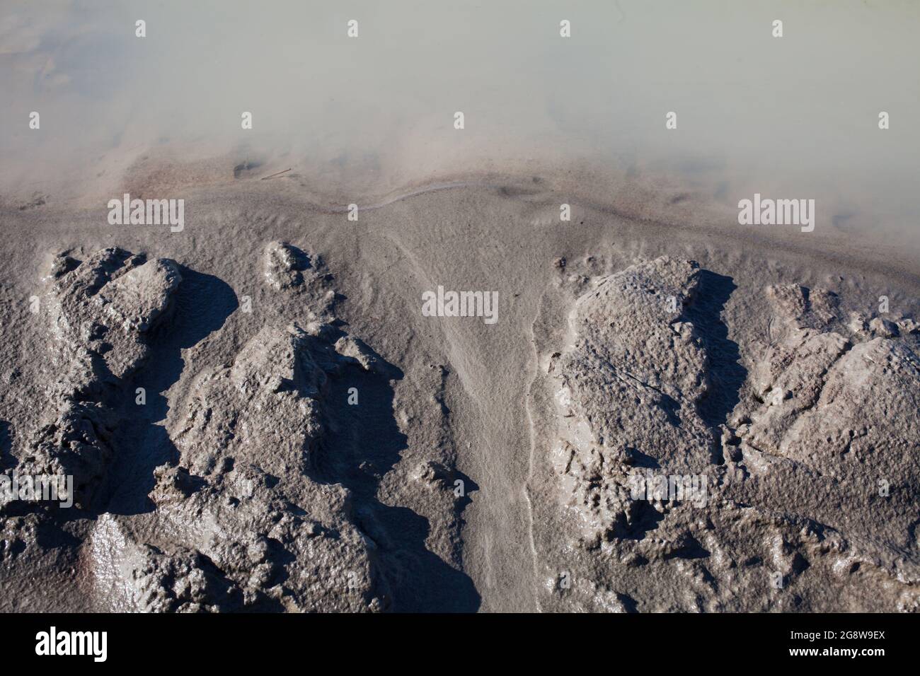 Micro-scale geographical features in silt after a river flood. The ...