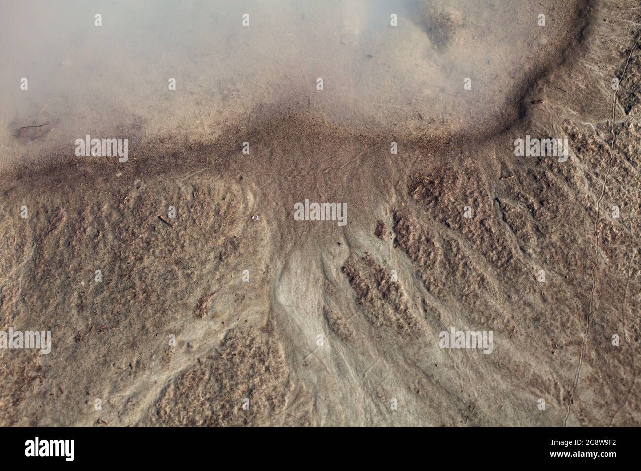 Micro-scale geographical features in silt after a river flood. The ...