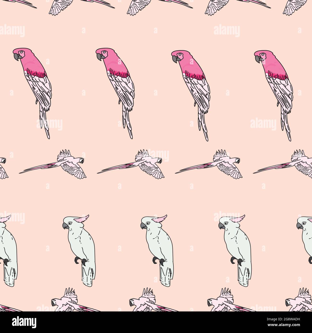 Vector pink background tropical birds, parrots, macaw, exotic cockatoo ...
