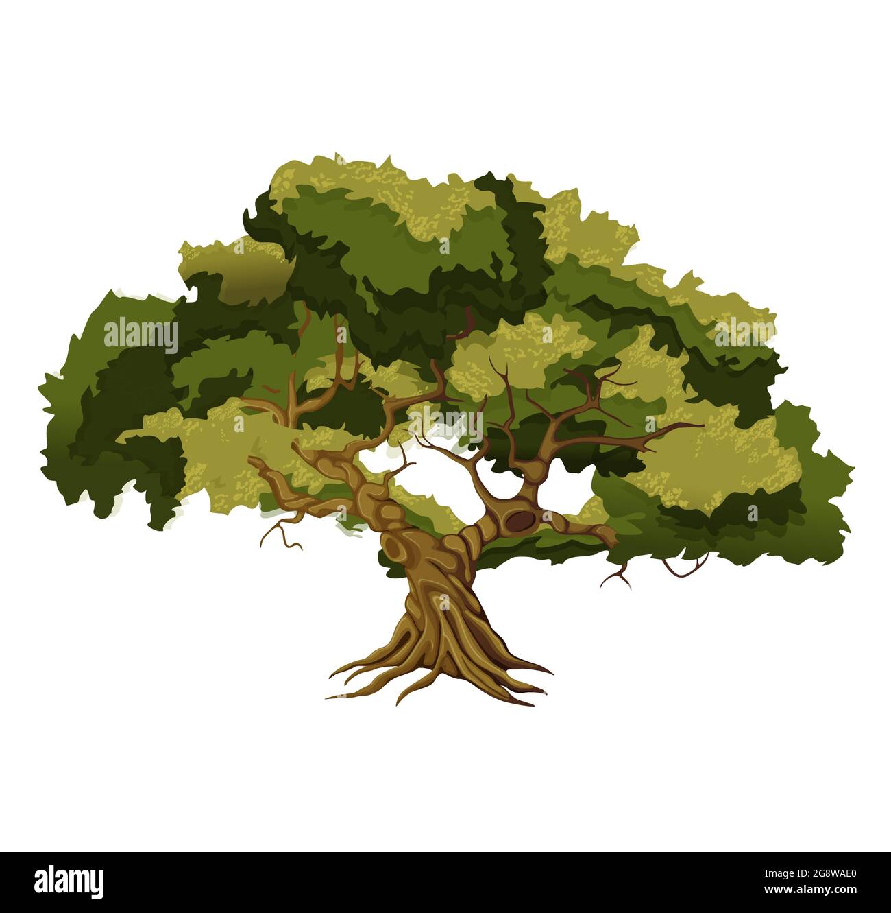 Old oak with thick stem Stock Vector Images - Alamy