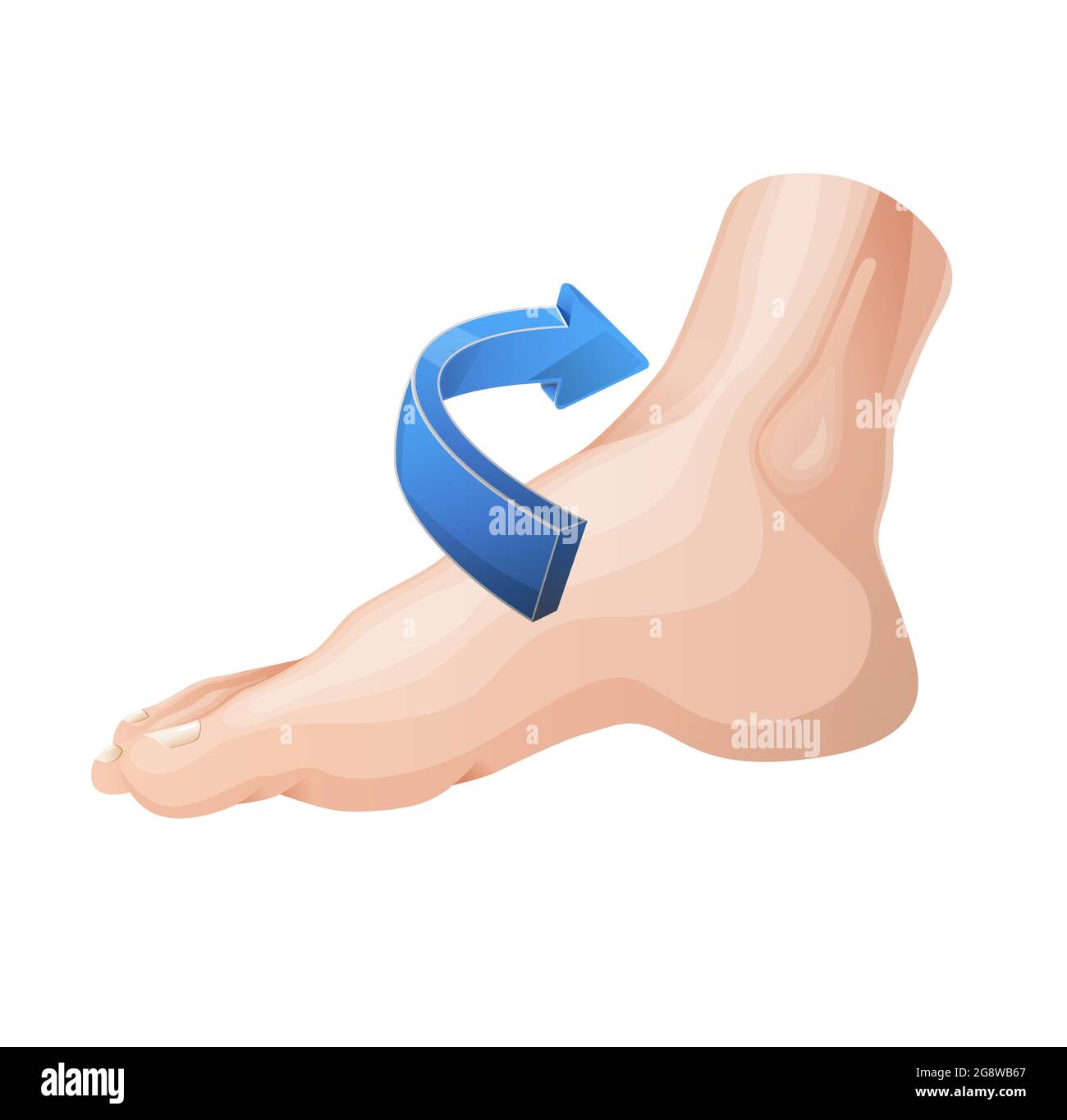 Ankle sprain vector vectors hi-res stock photography and images - Alamy