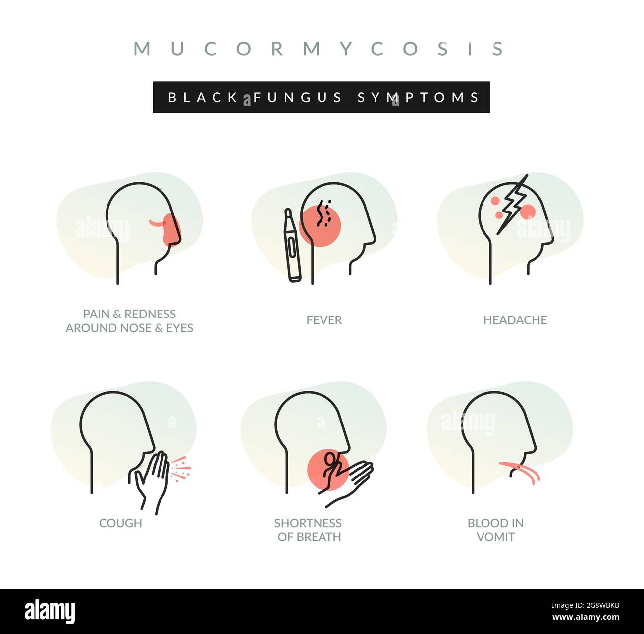 Mucormycosis - Black Fungus - Symptoms - Icon as EPS 10 File Stock ...