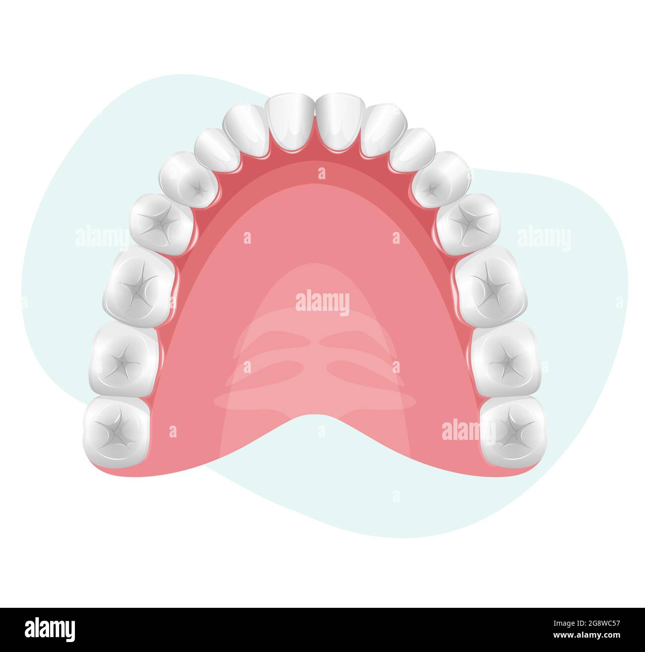 Dental Checkup for Upper Teeth - stock illustration as EPS 10 File ...
