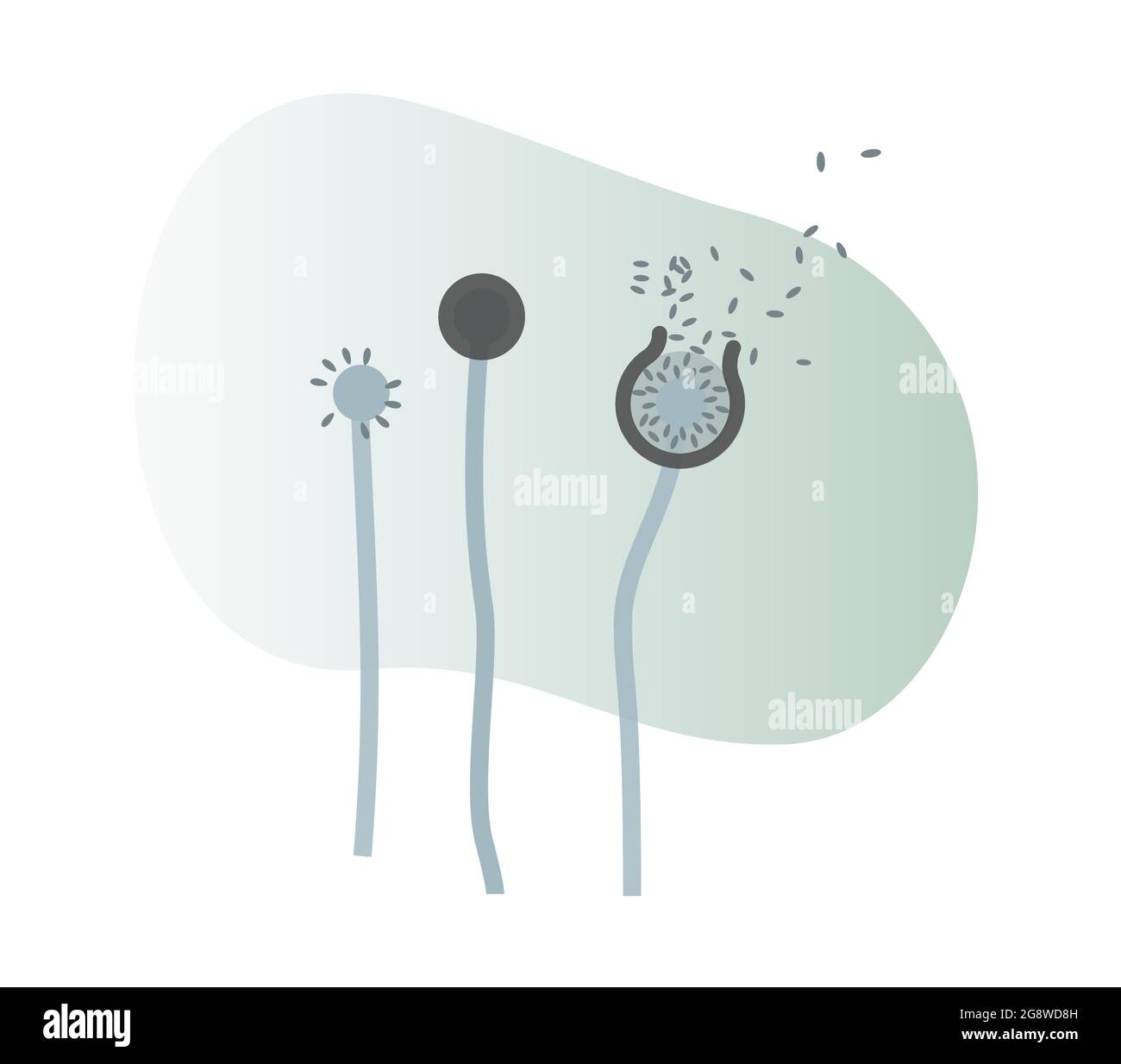 Mucor Fungus Spores - Illustration as EPS 10 File Stock Vector Image ...
