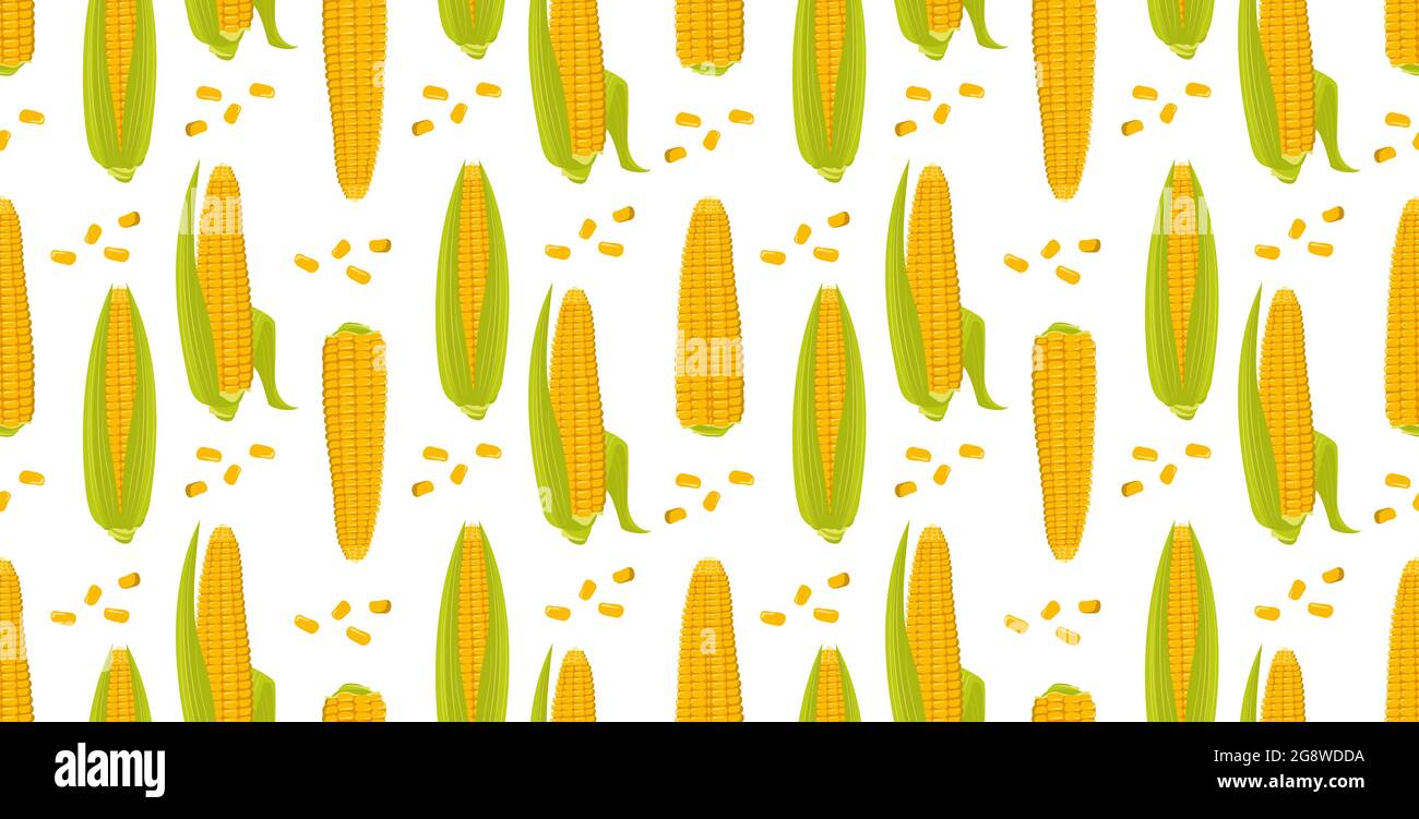 Summer corn Stock Vector Images - Alamy