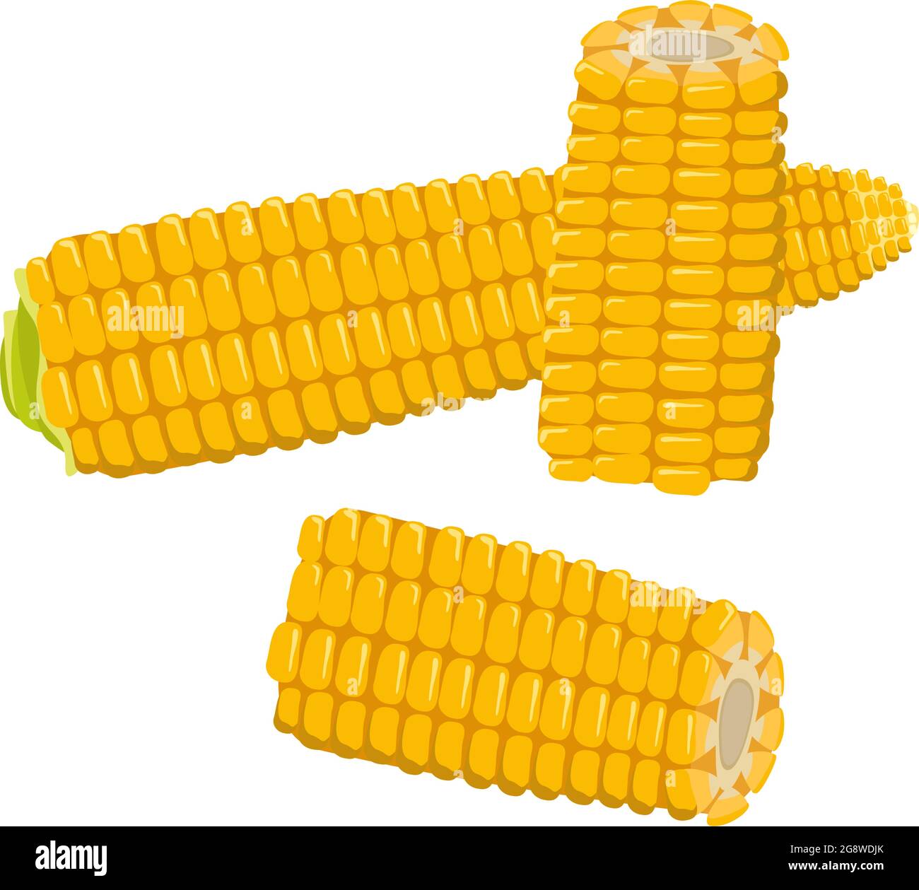 Golden corn grains Stock Vector Images - Alamy