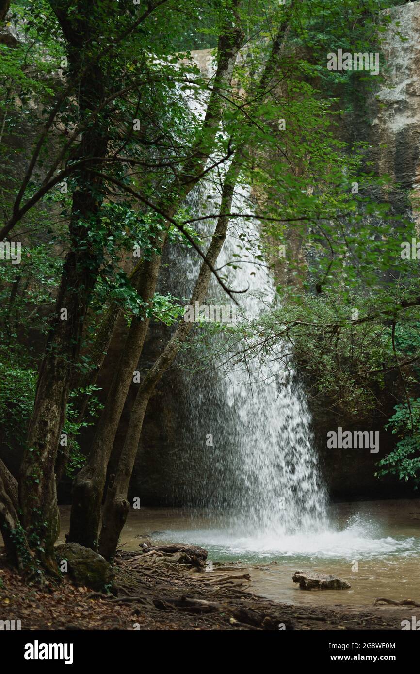 Waterfall green forest. Summer beautiful cool landscape in the forest ...
