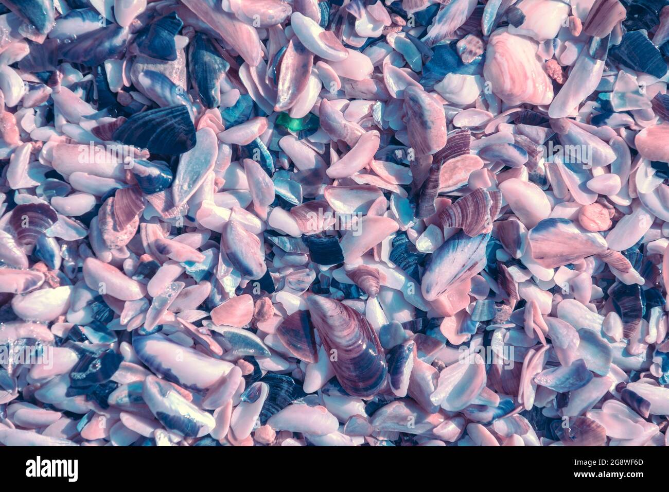 Natural abstract vintage colorful shells background. Blue pink-toned ...