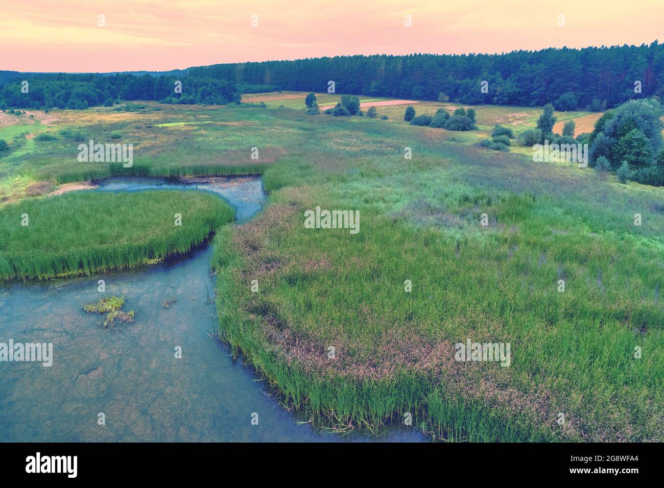 Aerial view of the reeded brook. Summer rural landscape Stock Photo - Alamy