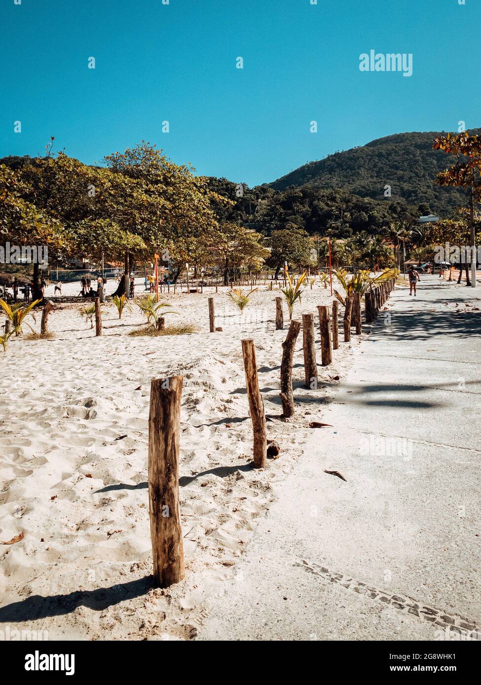 Vertical shot of wooden posts on the sandy beach along the paved path ...