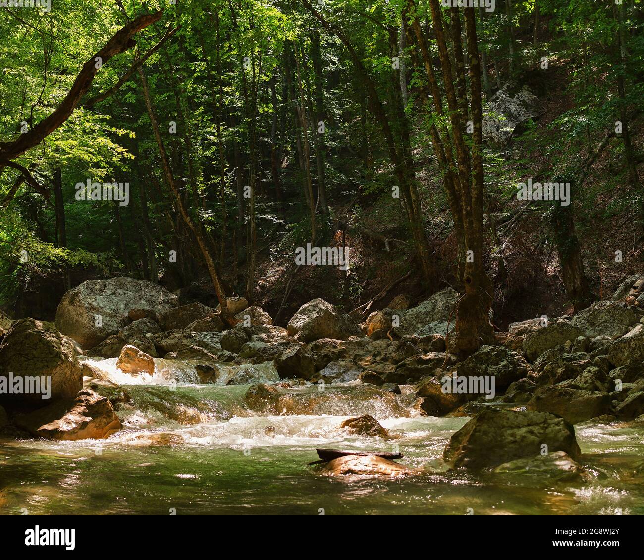 Mountain river green forest. Summer beautiful cool landscape in the ...
