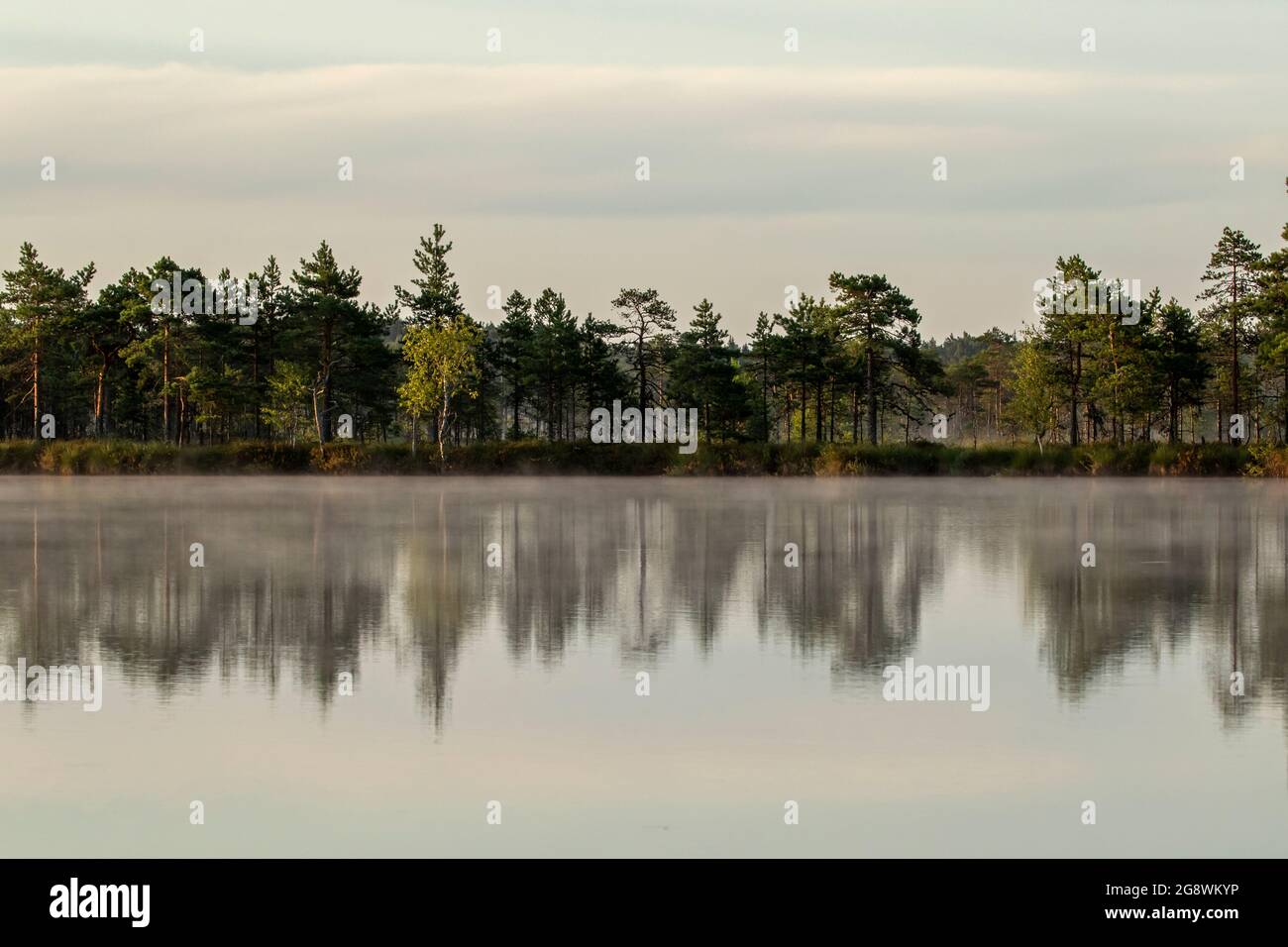 Fog rising slowly on the lake during early morning sunrise at Kakerdaja ...