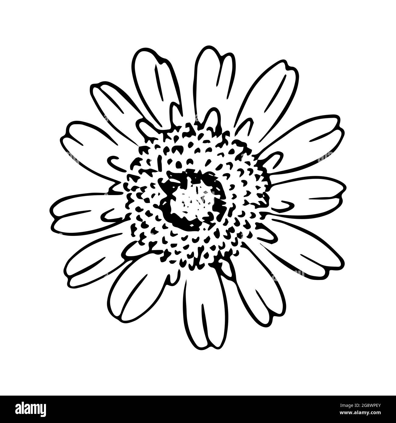 Daisy Clip Art Black And White