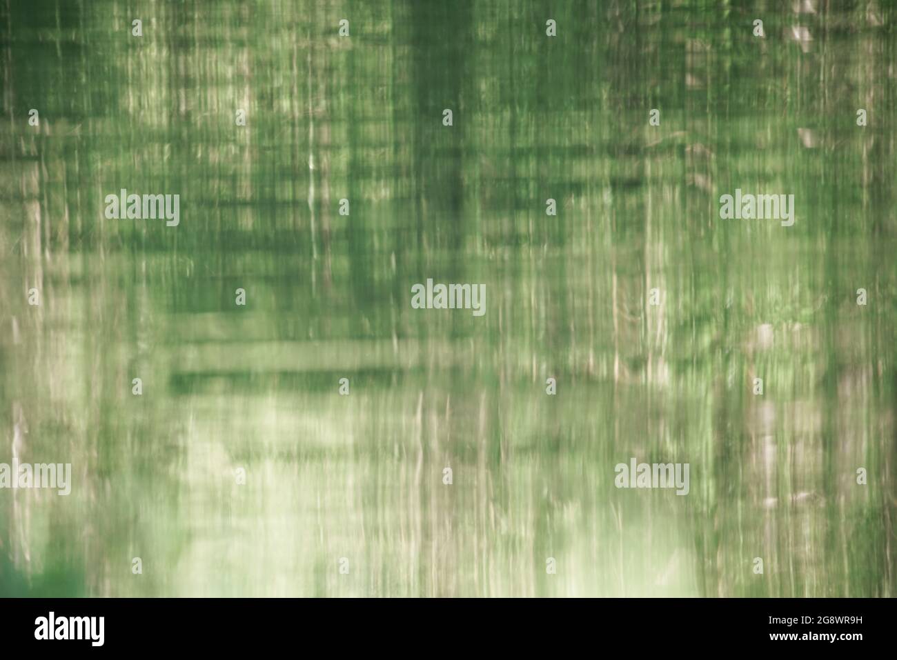 Vertical Lines In Nature The Art Of Photography: Horizontal And