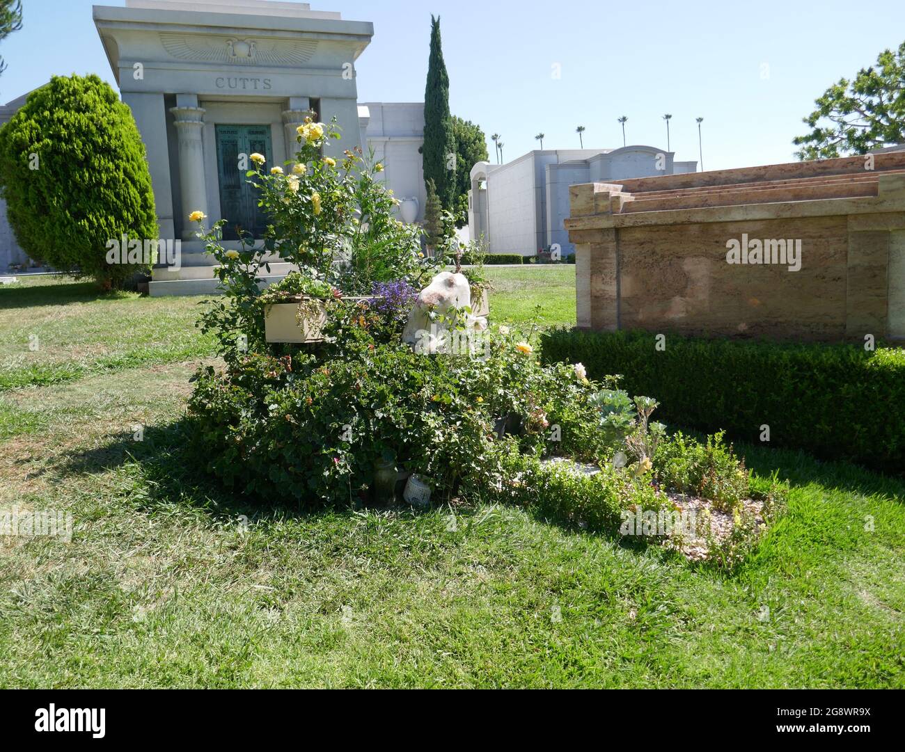 Los Angeles, California, USA 21st July 2021 A general view of ...
