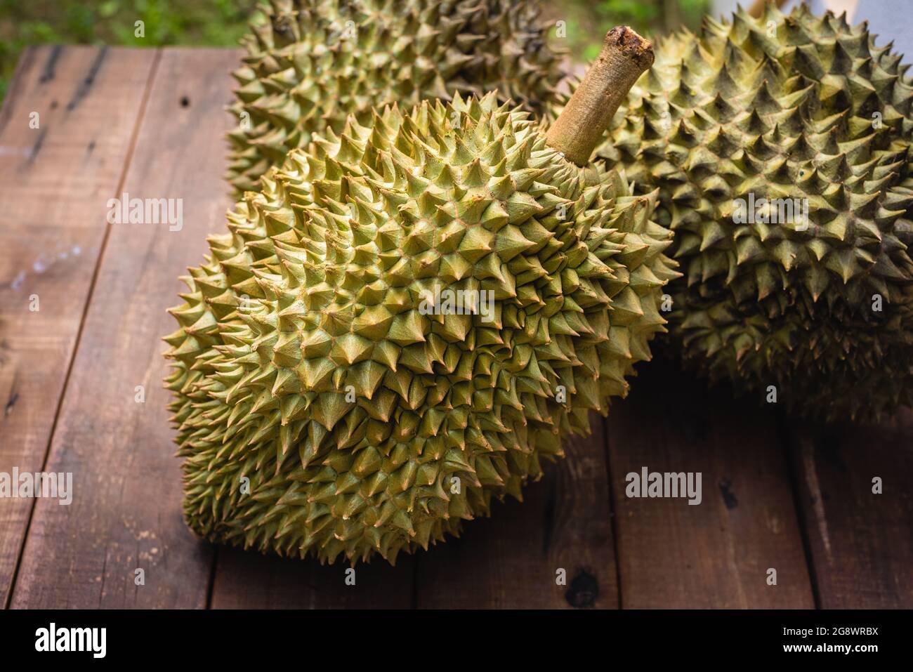 Mon Thong durian fruit on wooden plank background. Regarded by many ...