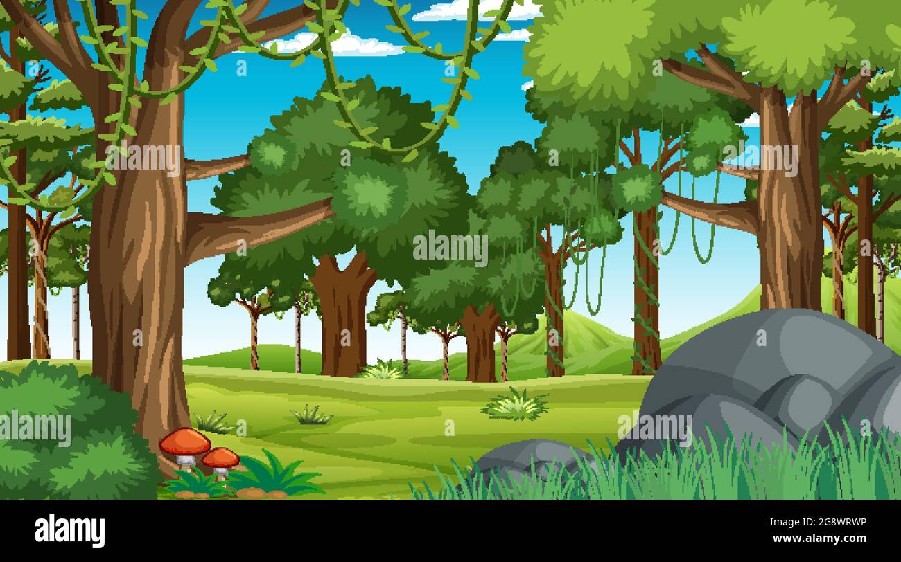 Forest scene with various forest trees and illustration Stock Vector ...