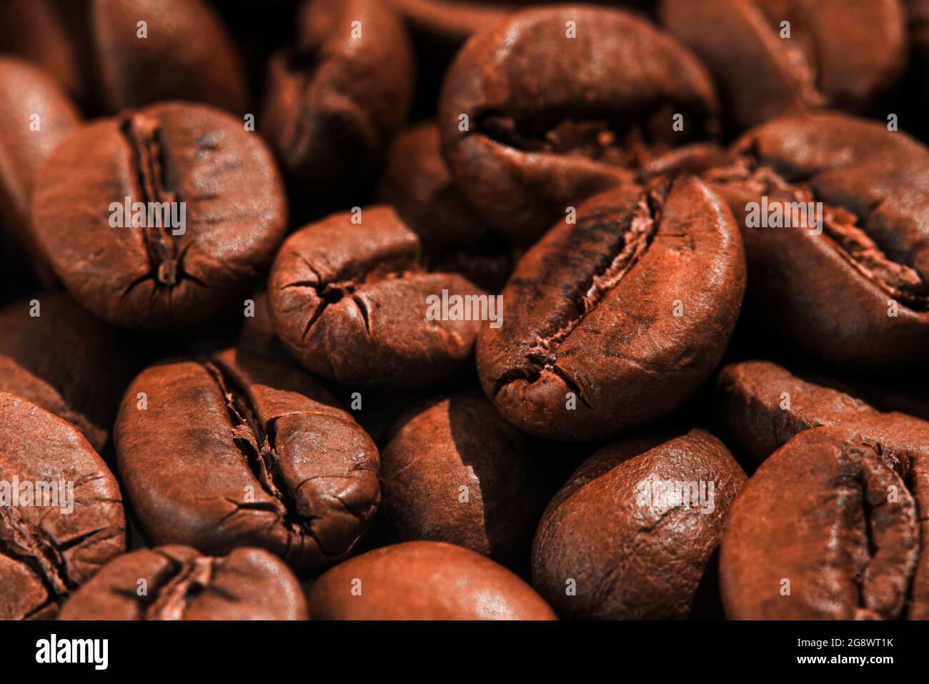 Natural coffee beans background. Macro. Texture of roasted gold colored ...