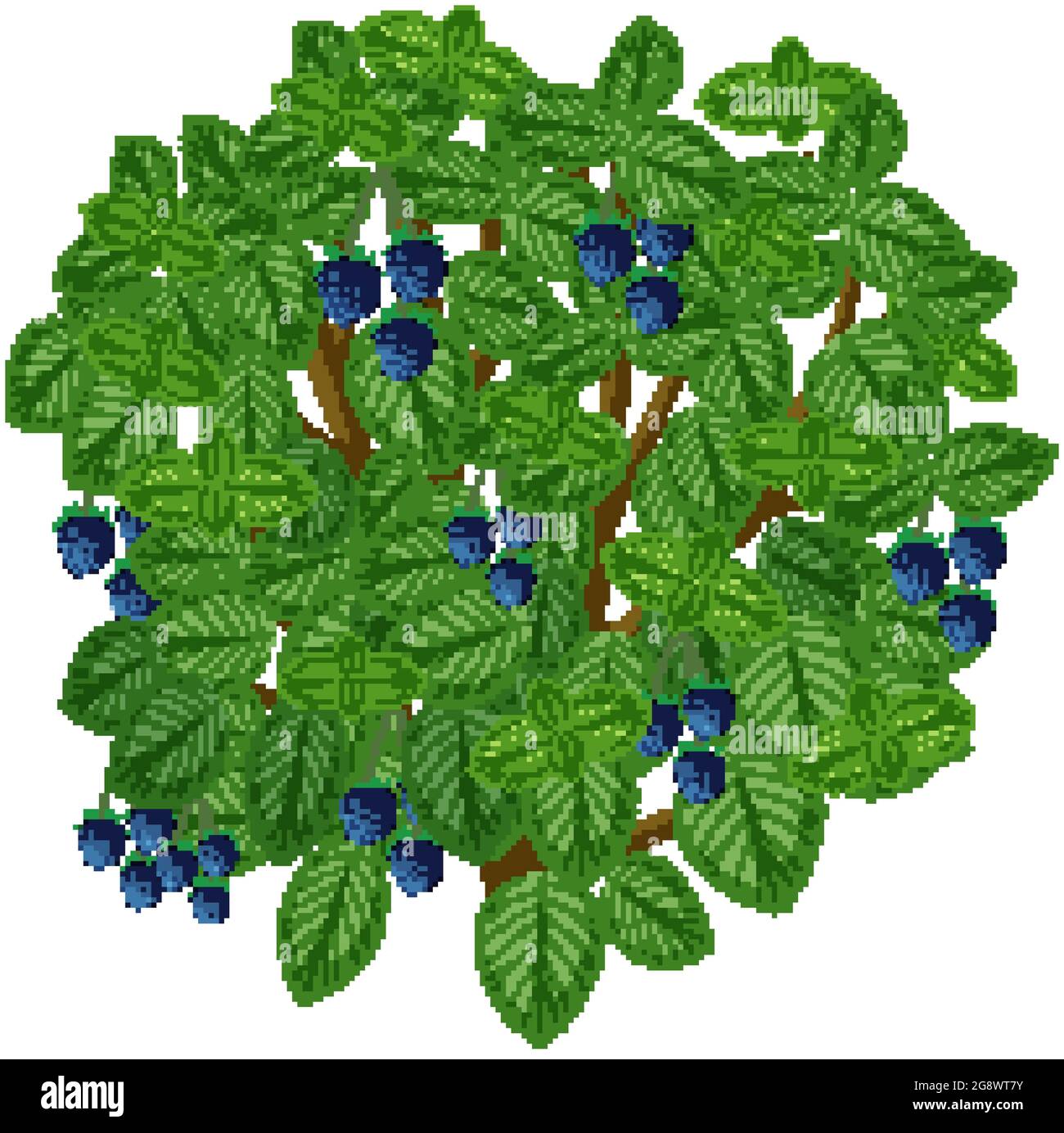 Blackberry tree in cartoon style isolated on white background ...